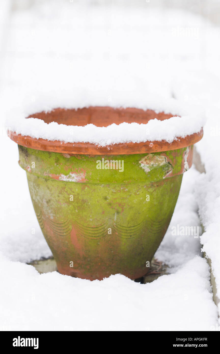 clay pot with green moss with snow Stock Photo - Alamy