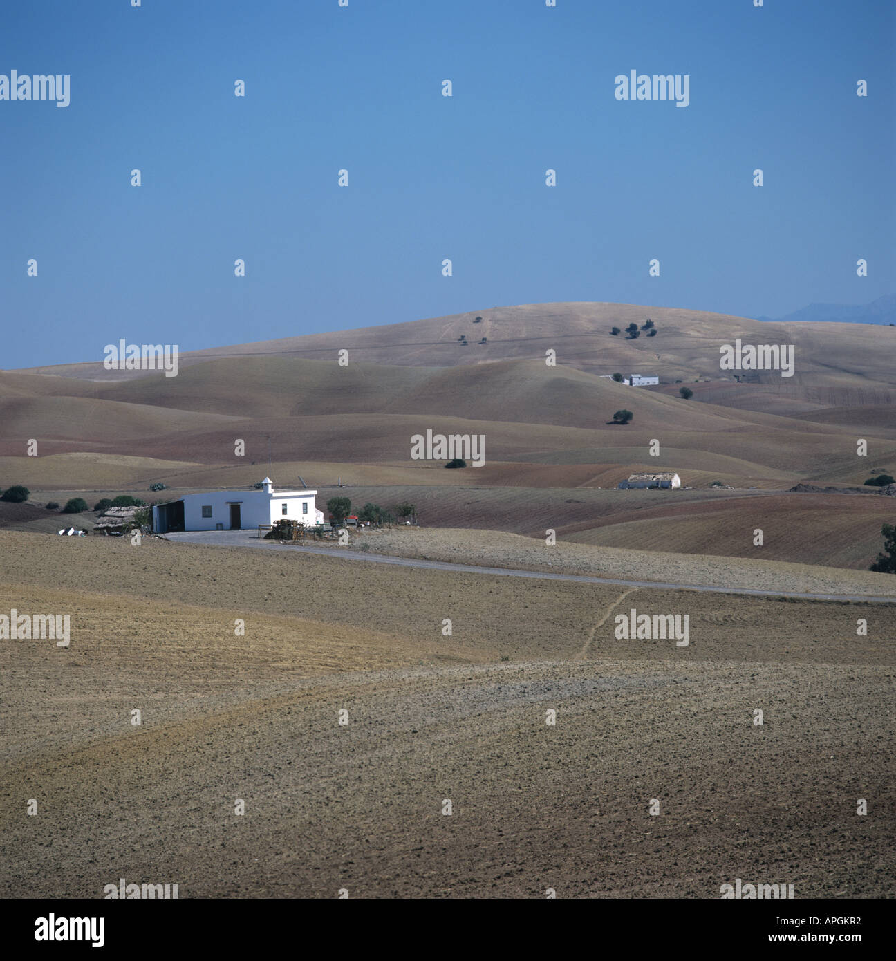 Dry fallow landscape cultivated after the summer harvest Andalusia ...