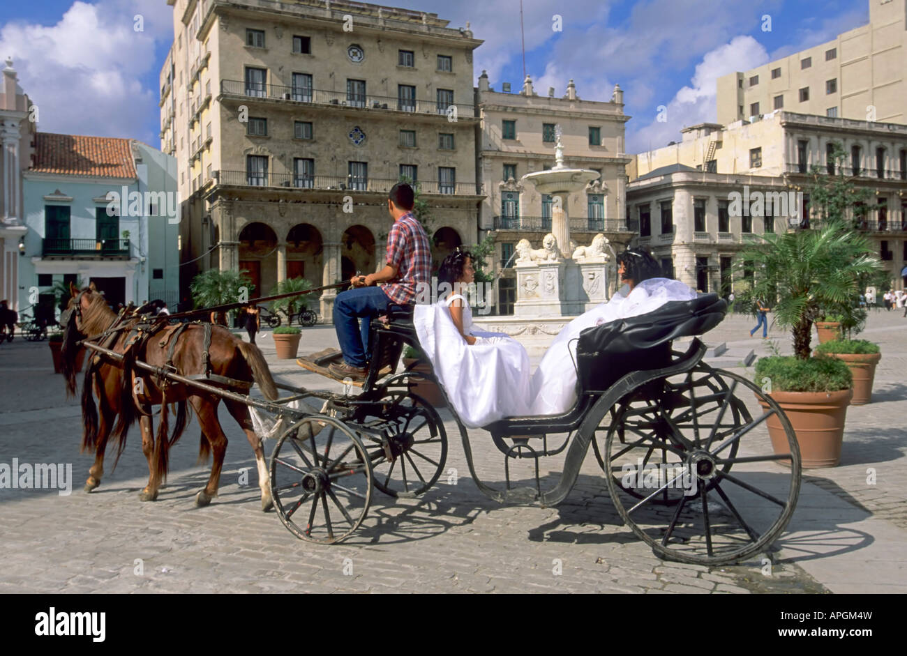 Horses carriage passengers central Havana, Cuba Stock Photo - Alamy
