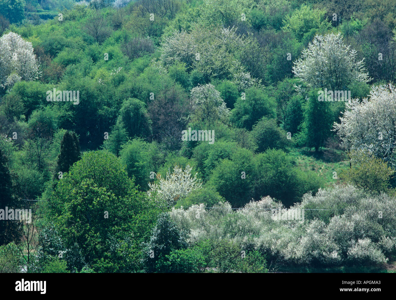 Homecounties hi-res stock photography and images - Alamy