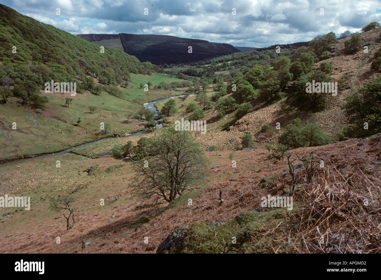 Protected natural habitat wales hi-res stock photography and images - Alamy
