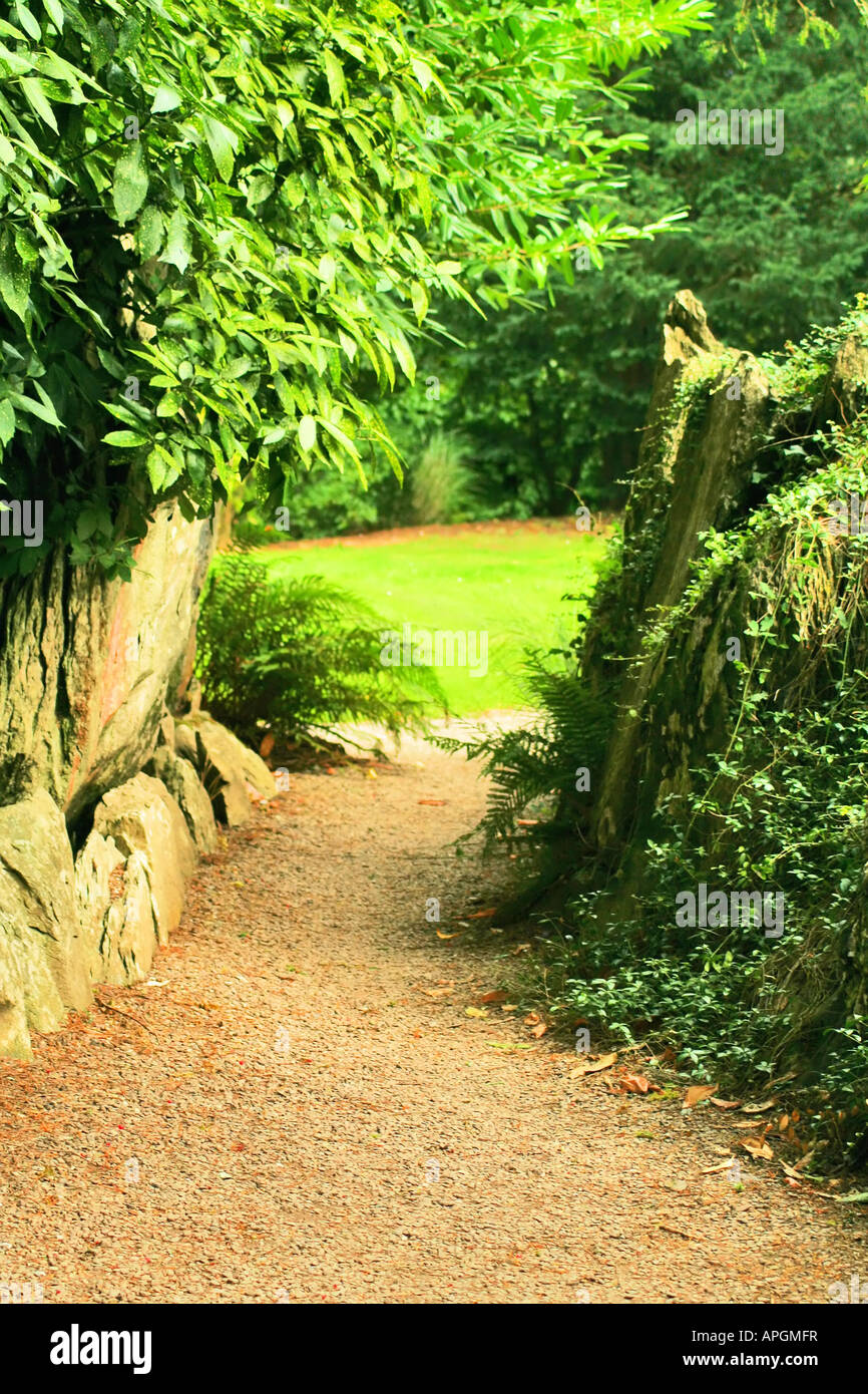 path or walkway through thick plants and rocks in Fairy Glade at ...