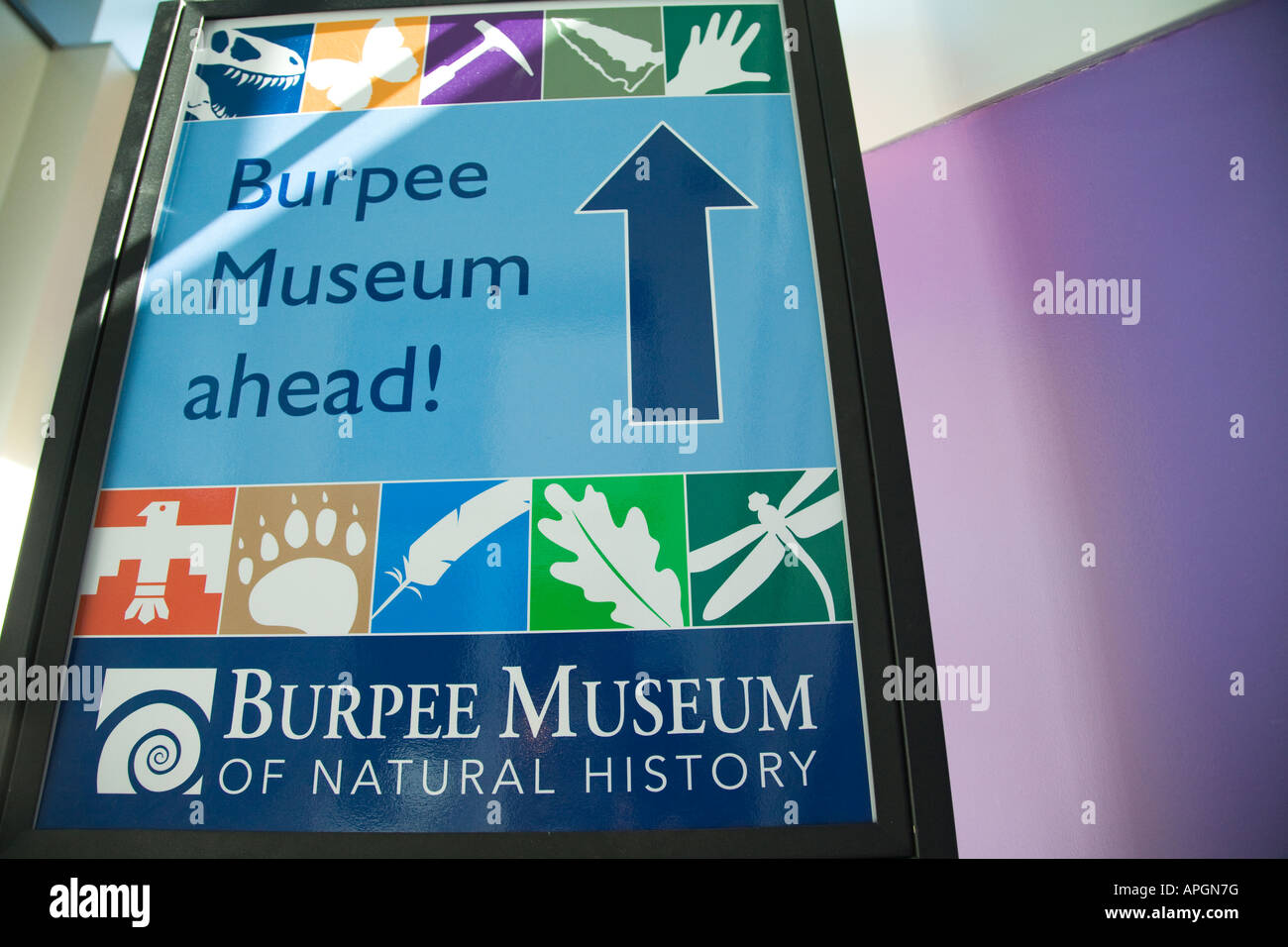 ILLINOIS Rockford Sign and arrow pointing to Burpee Museum of Natural ...