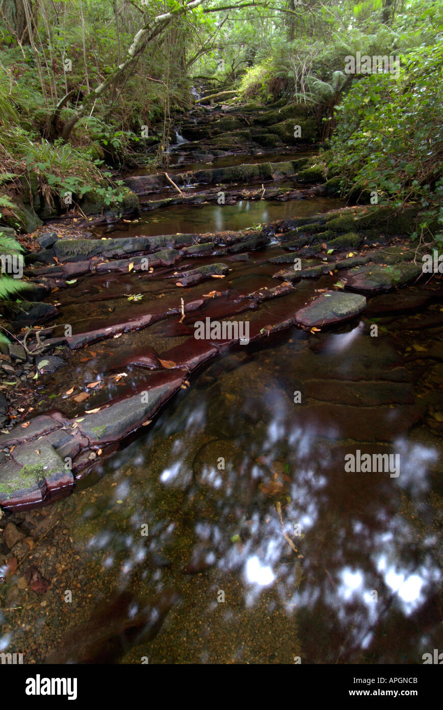 Castlecomer ireland hi-res stock photography and images - Alamy