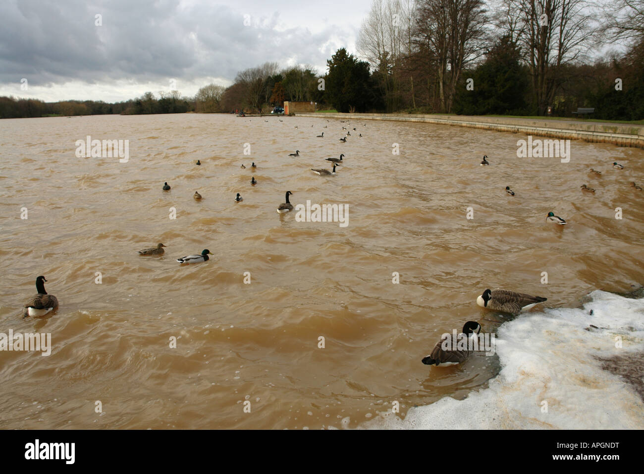 Langold country park hi-res stock photography and images - Alamy