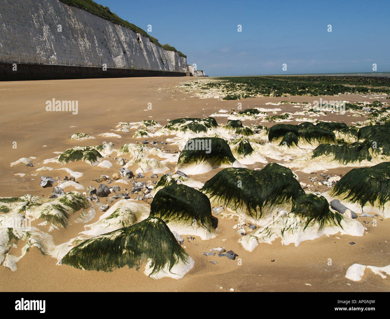 beach sand rocks seaweed sunny cliffs chalk Stock Photo - Alamy