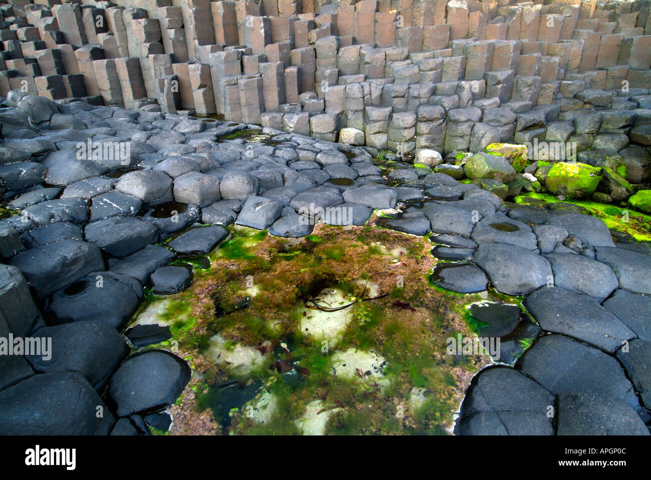 Hexagonal shaped basalt columns at the Giant's Causeway, County Antrim ...