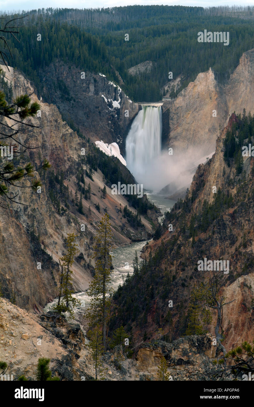 Upper Yellowstone falls, Grand Canyon of the Yellowstone river, Yellowstone National Park ...