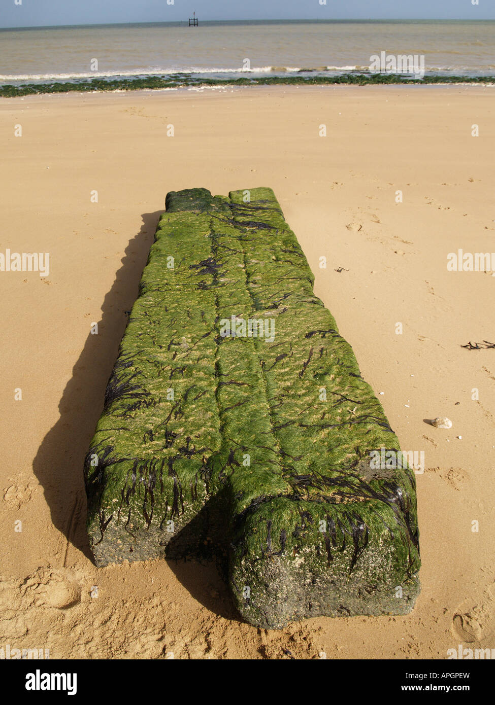 beach sand seaweed sunny dark green concrete slab Stock Photo - Alamy