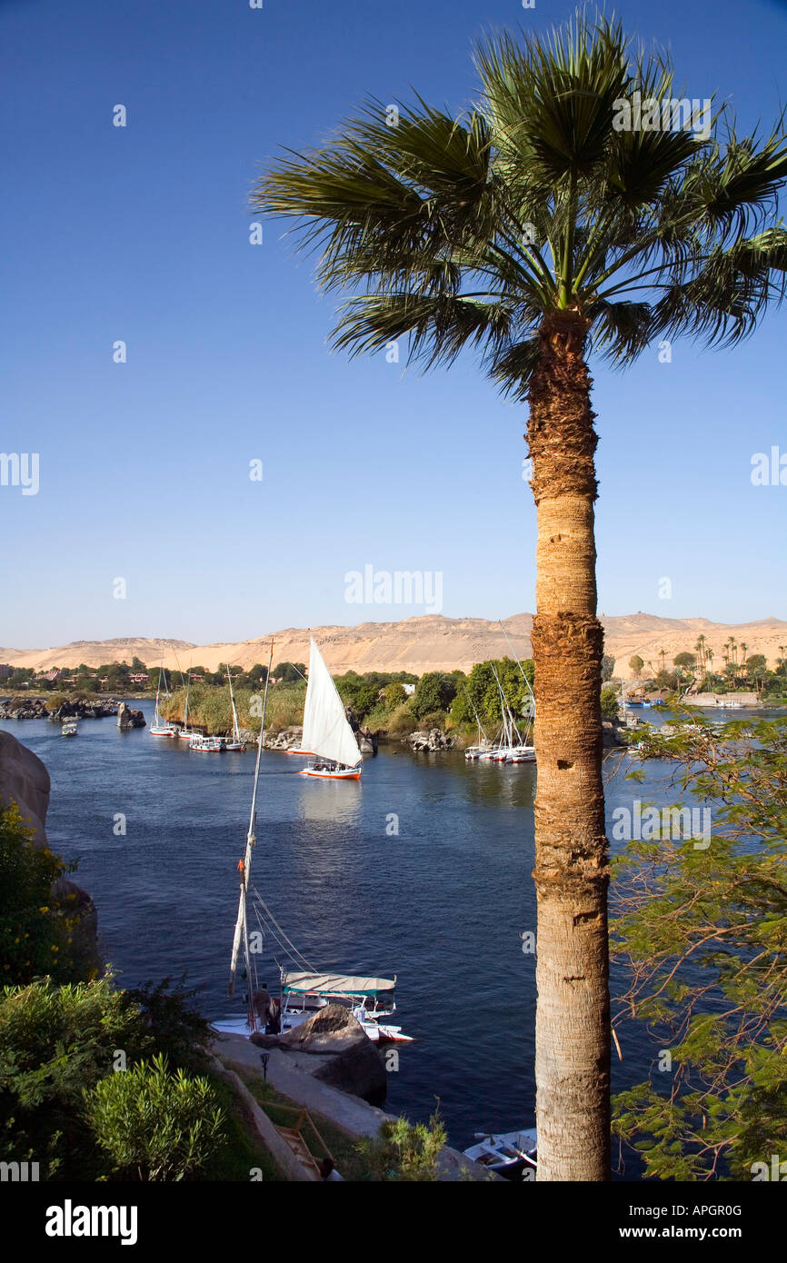 Sailing on a Felucca at Aswan in Egypt Stock Photo - Alamy