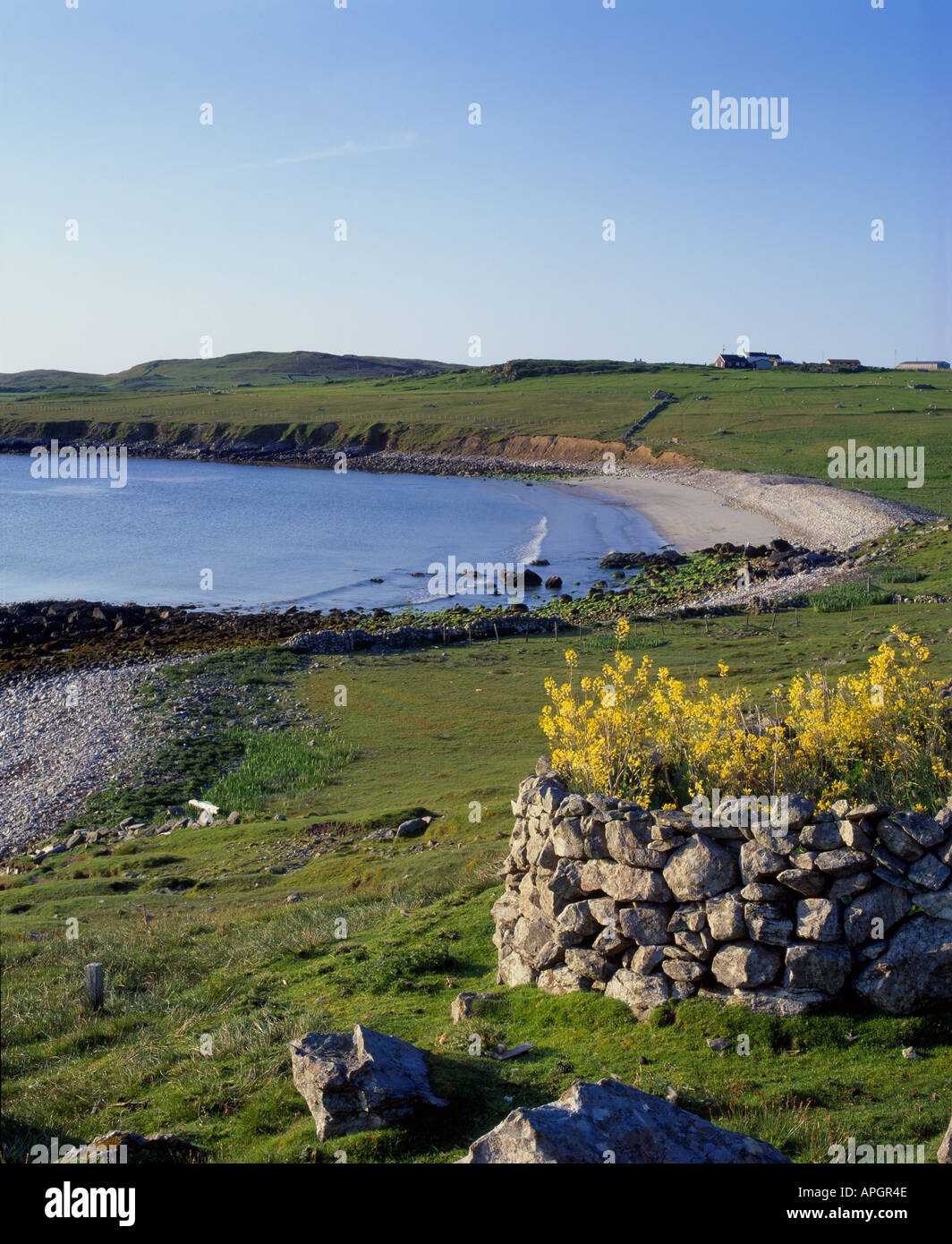 Nesting, Mainland, Shetland, Scotland, UK Stock Photo - Alamy