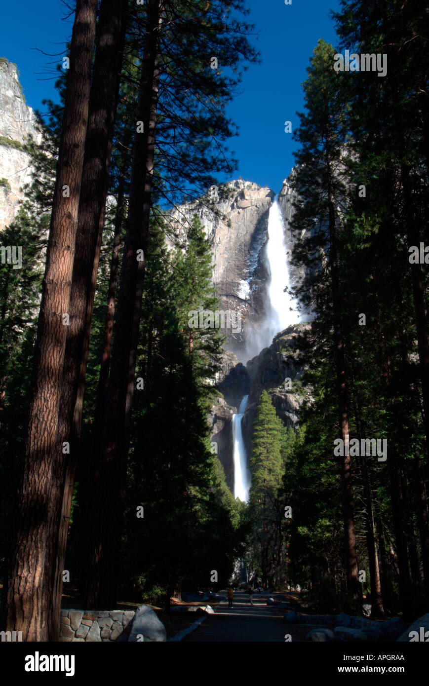 View of the upper and lower Yosemite falls, Yosemite National Park ...