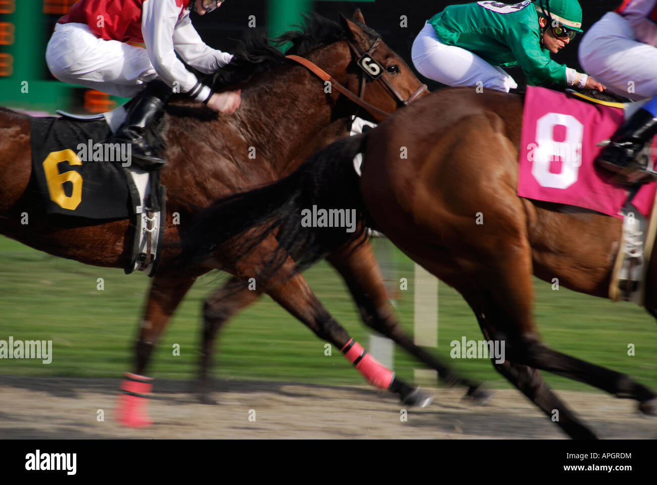 "Horse race, green jockey on the inside, Golden Gate Fields, Berkeley ...