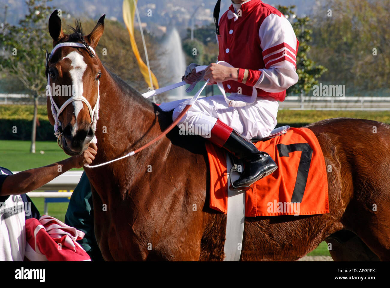 Number numeral seven racehorse hi-res stock photography and images - Alamy