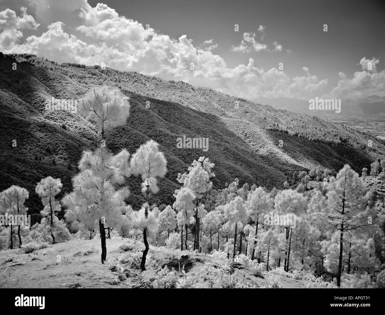 Kathmandu view Black and White Stock Photos & Images - Alamy
