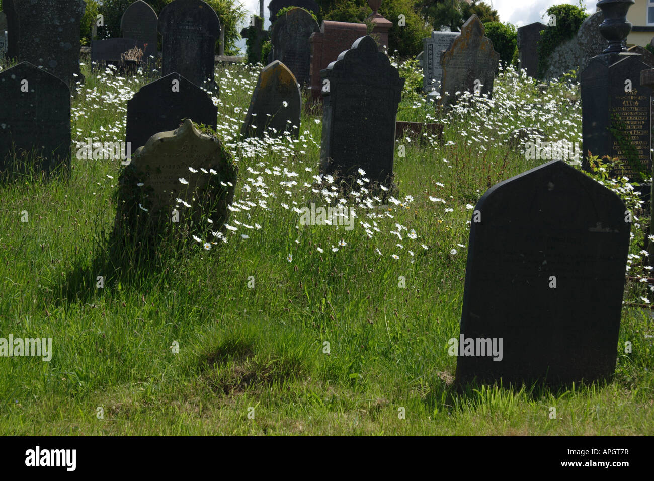 Non conformist chapel hi-res stock photography and images - Alamy