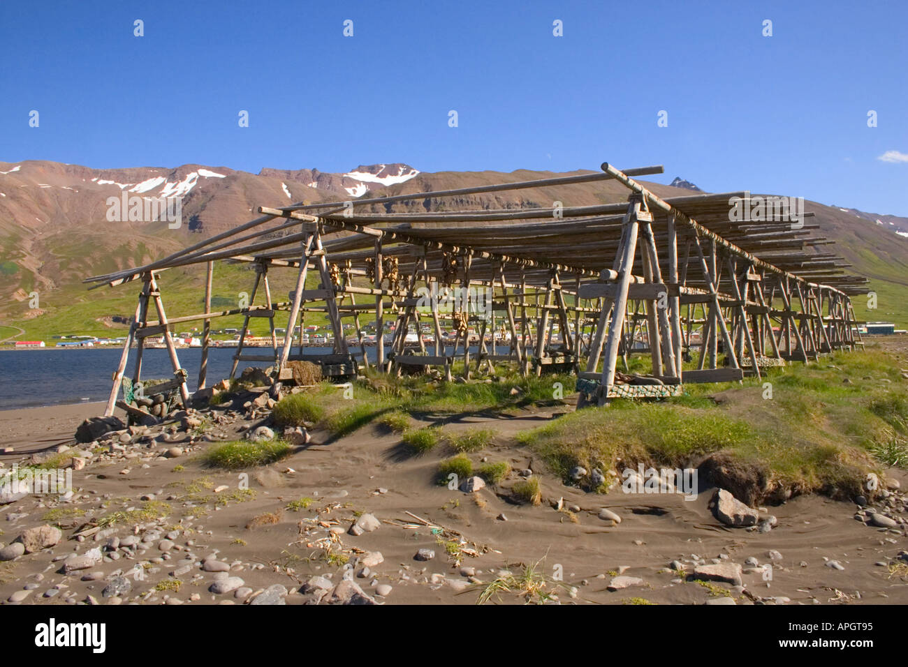Old fish drying racks by Olafsfjordur Iceland Stock Photo - Alamy
