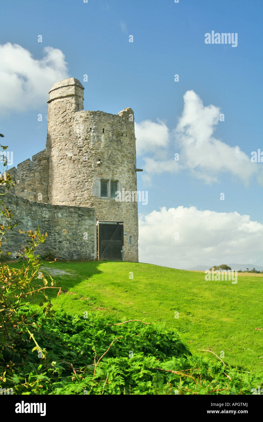 round tower of Irish castle ruins Stock Photo - Alamy