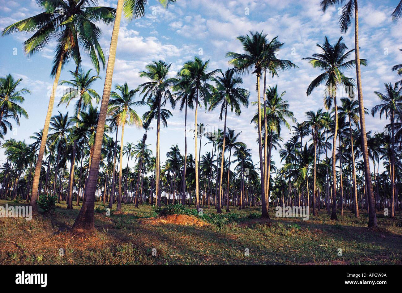 Kenya to the south hi-res stock photography and images - Alamy