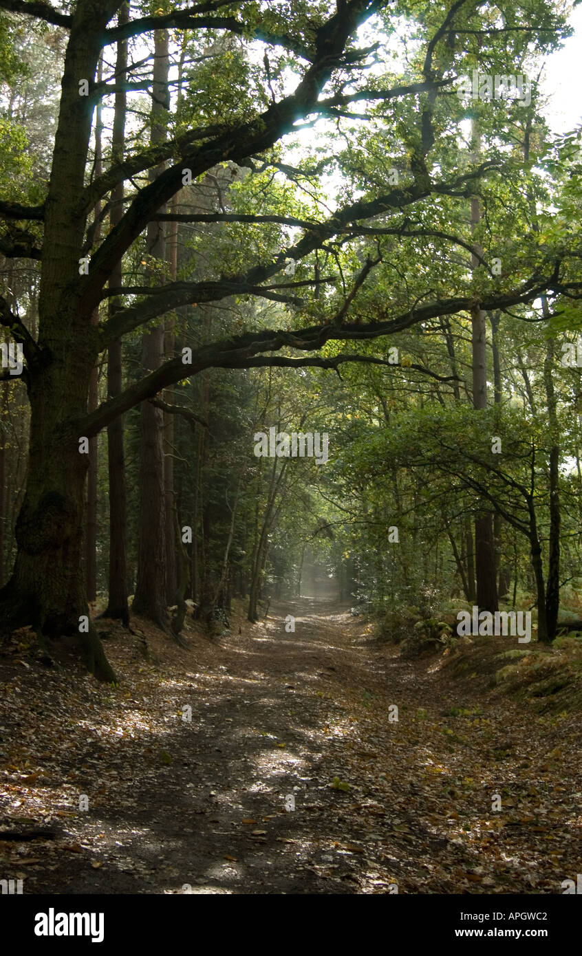 In crowthorne hi-res stock photography and images - Alamy