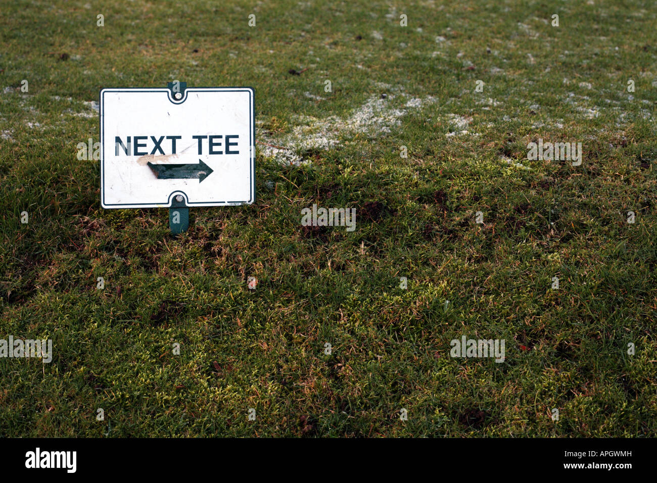 A sign saying next tee with arrow against a green grass background ...
