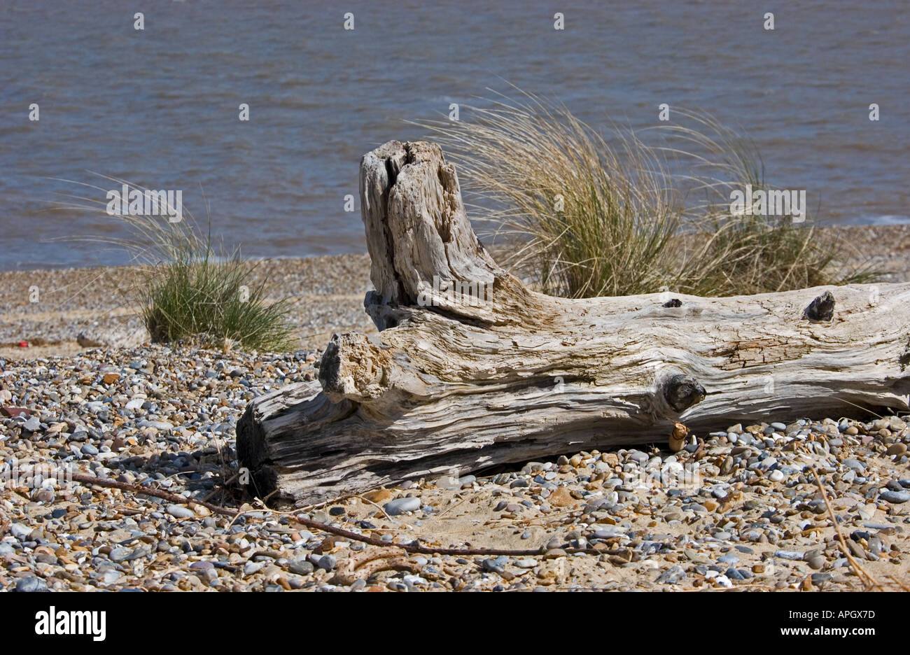 Minsmere tourism hi-res stock photography and images - Alamy