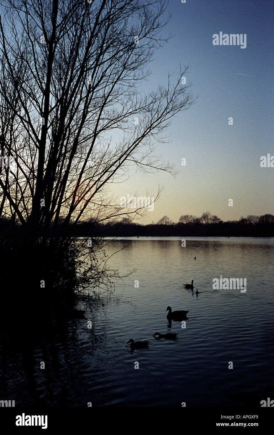 Dinton Pastures at Reading Stock Photo - Alamy