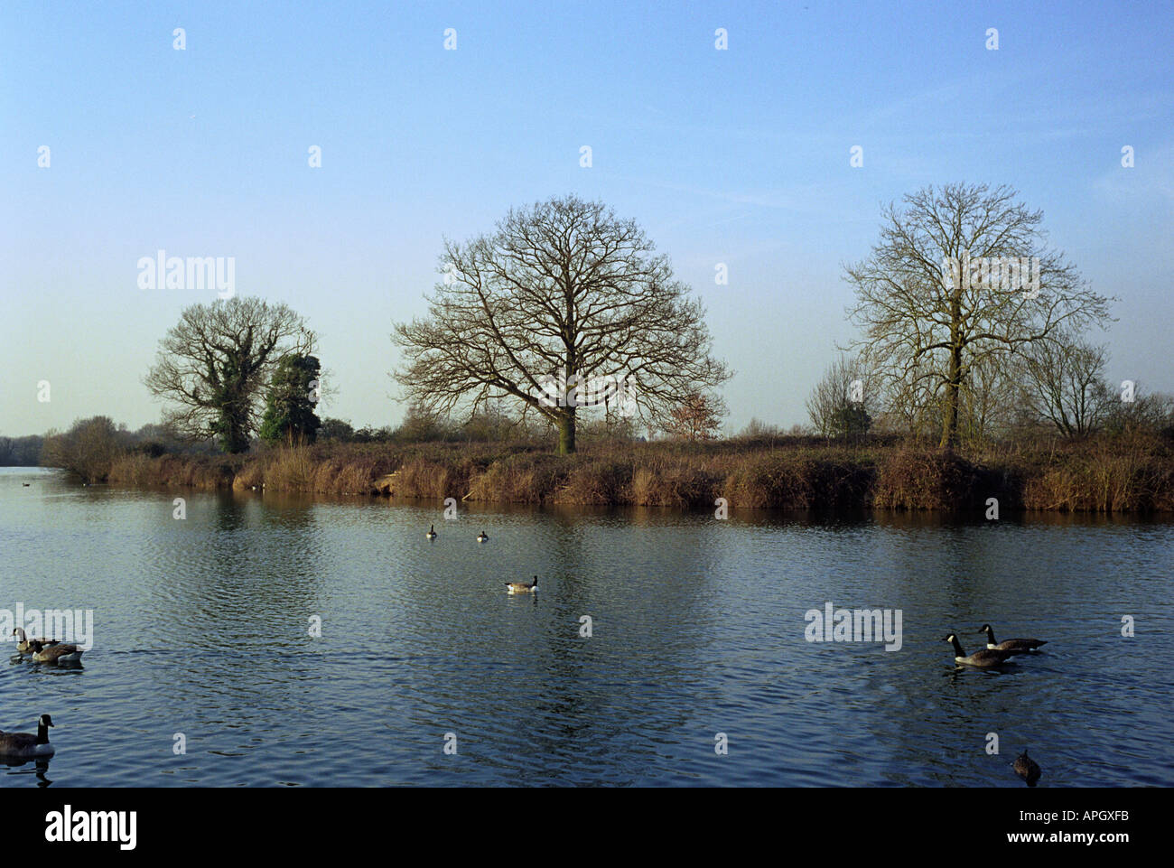Dinton country park hi-res stock photography and images - Alamy