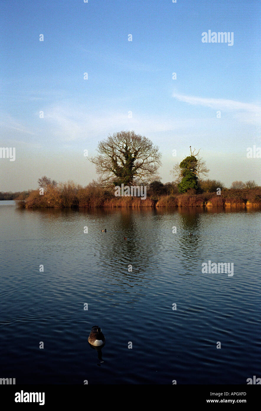 Dinton pastures country park hi-res stock photography and images - Alamy