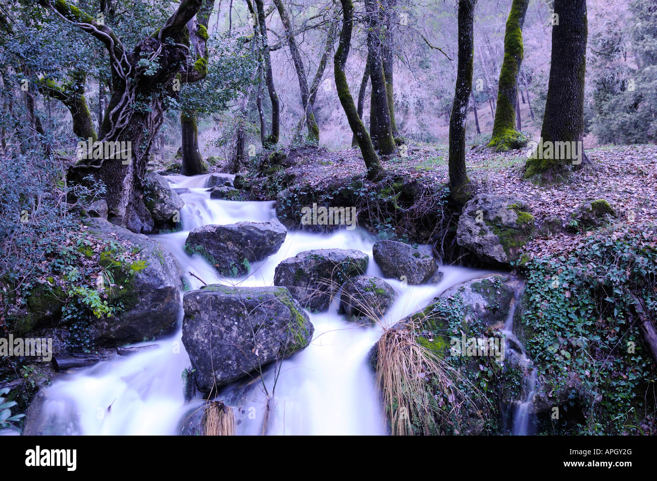 Arroyo en en Parque Natural de Cazorla Stock Photo - Alamy