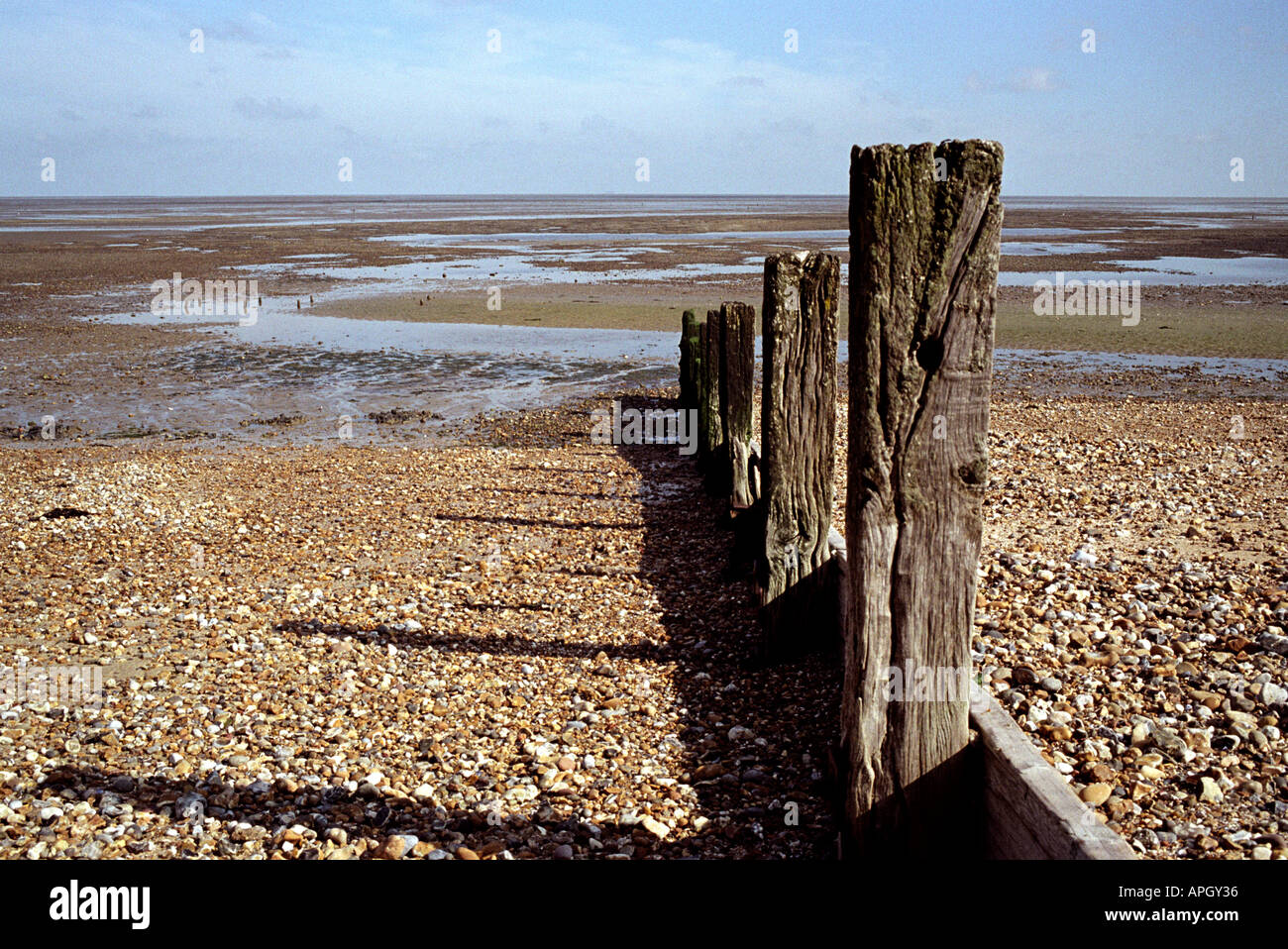 Whitstable coast walk hi-res stock photography and images - Alamy