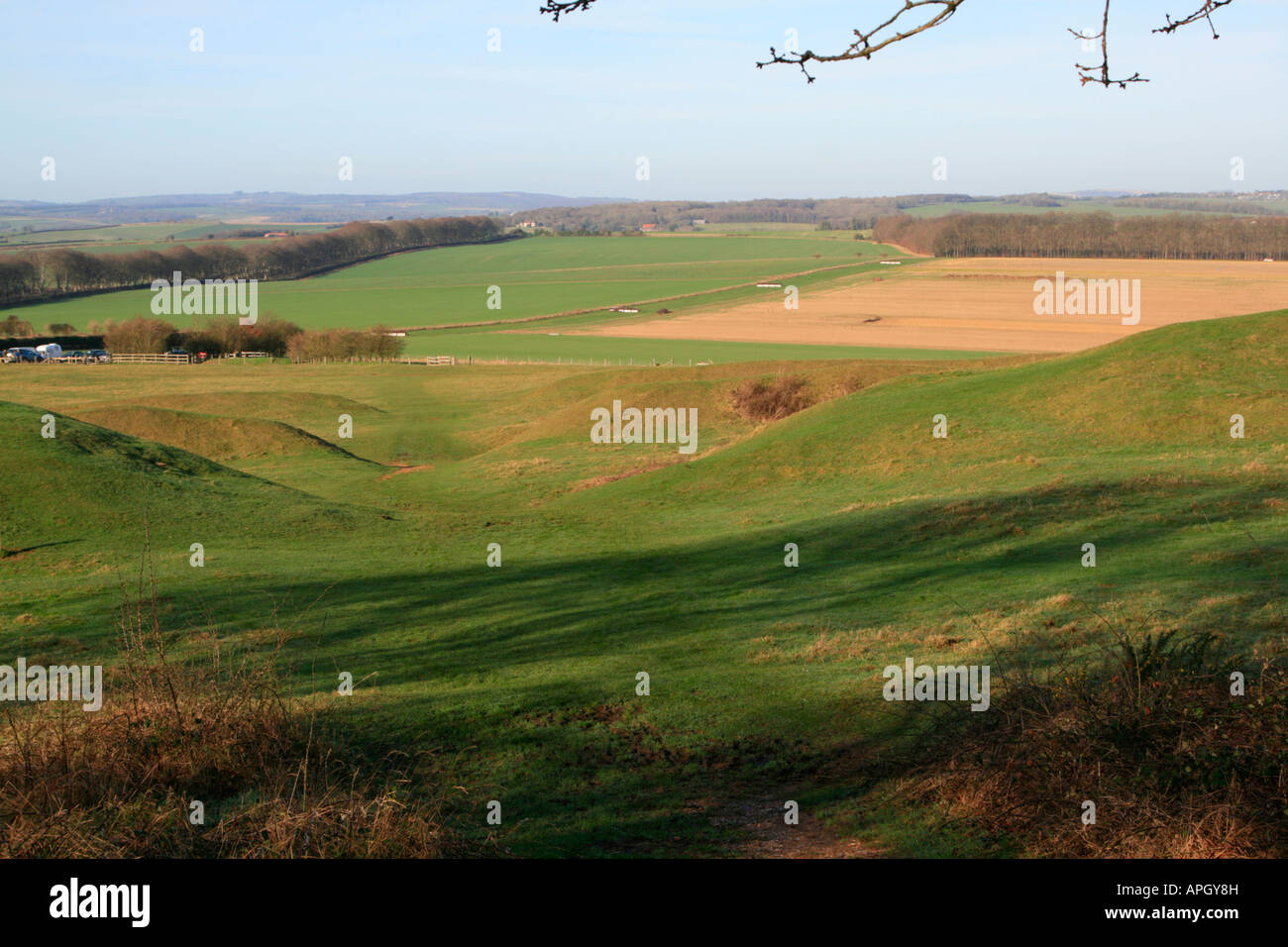 Badbury Rings is an Iron Age hill fort in east Dorset, England uk gb ...