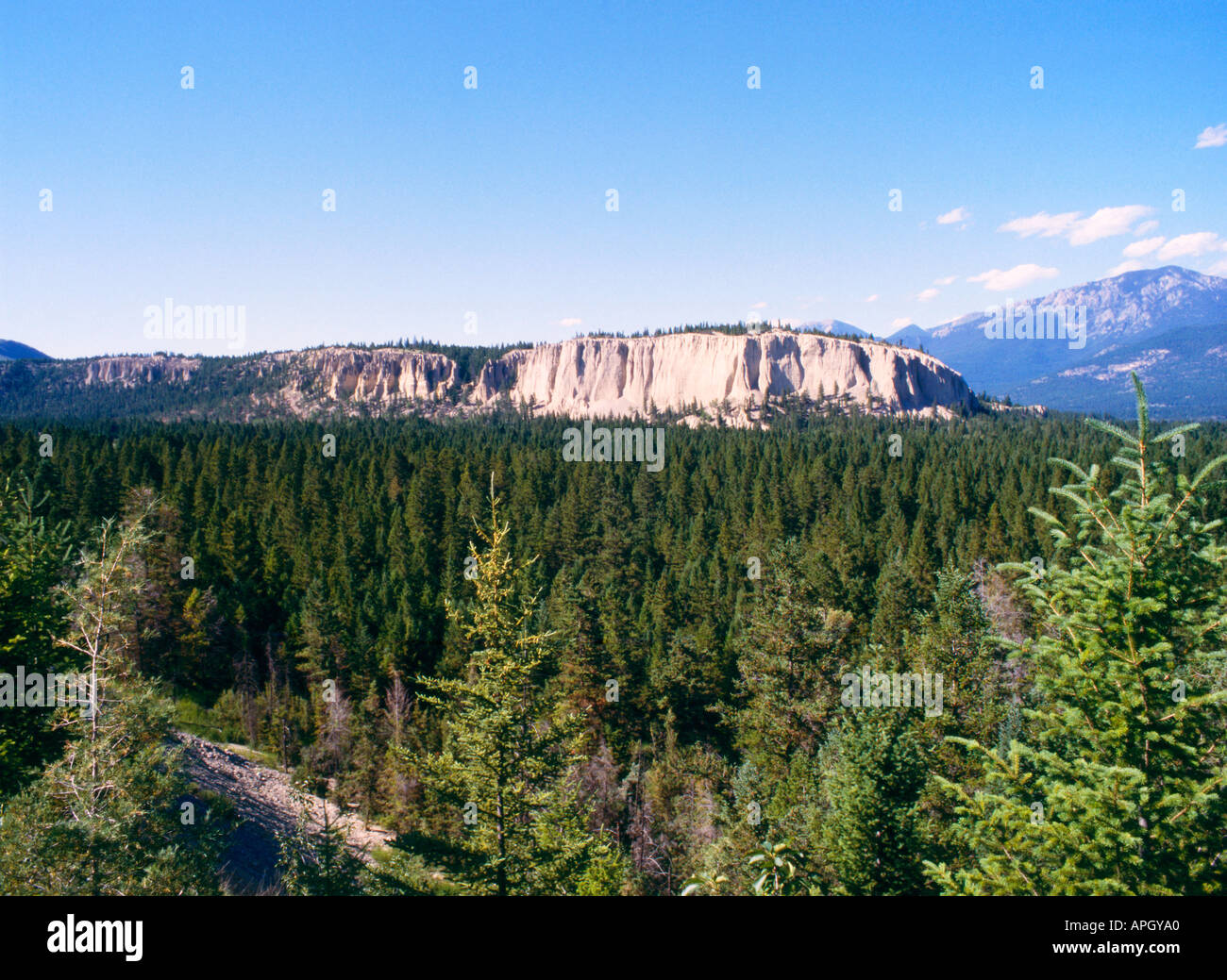 The Hoodoos Fairmont British Columbia Canada Stock Photo - Alamy