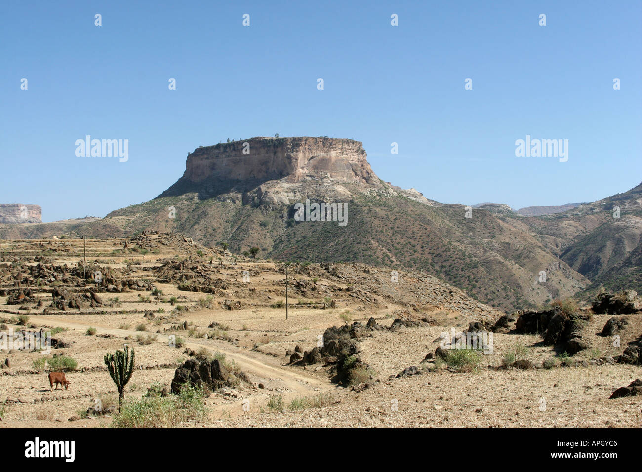 Debre Damo in Tigray Ethiopia Stock Photo - Alamy