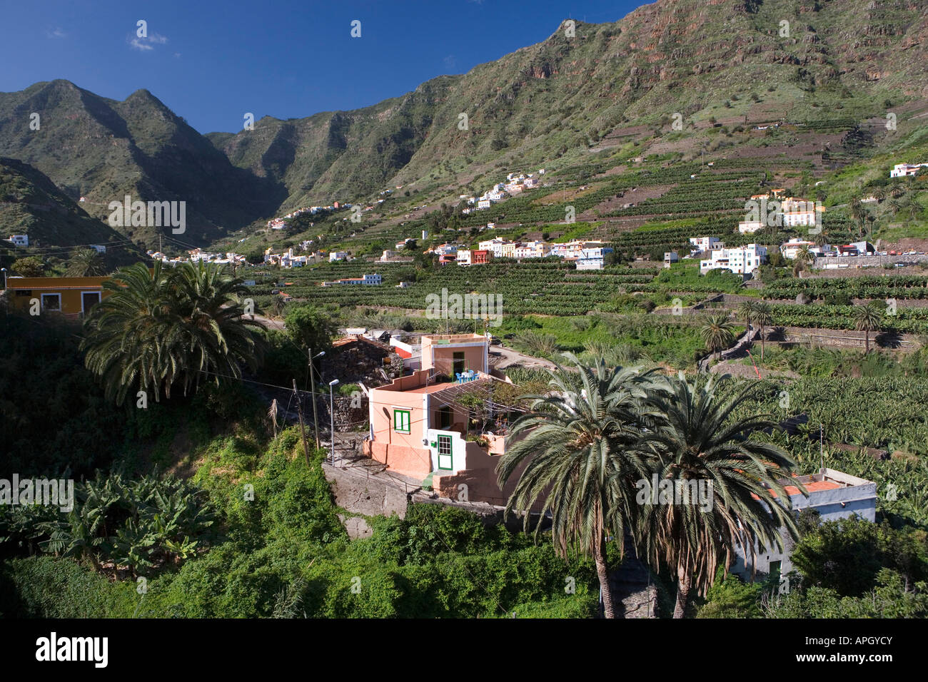 Spain, Canary Islands, La Gomera, View of the valley of Hermigua which is best known for its ...