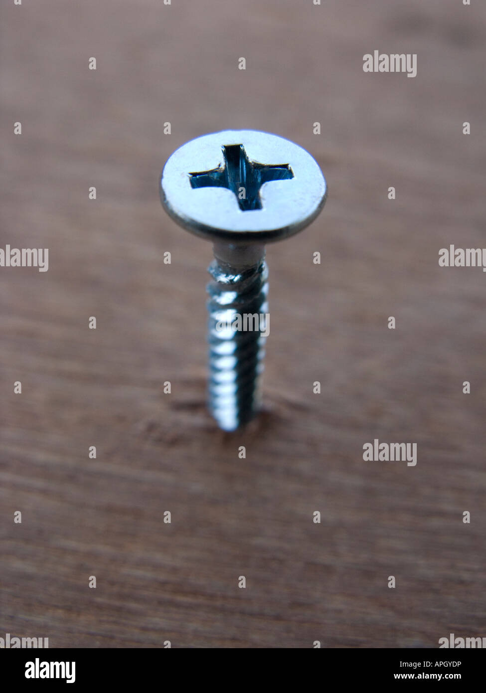 Wood screw thread form hi-res stock photography and images - Alamy