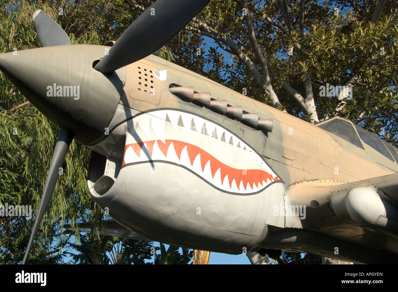 A view of Curtiss P40 Warhawk Fighter Bomber, US Stock Photo - Alamy