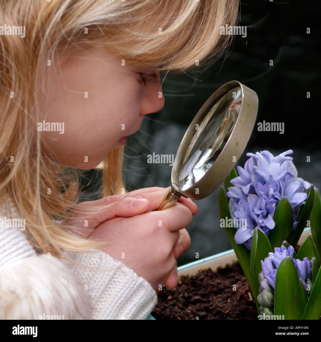 Child Holding Magnifying Glass Looks at Flower Stock Photo - Alamy