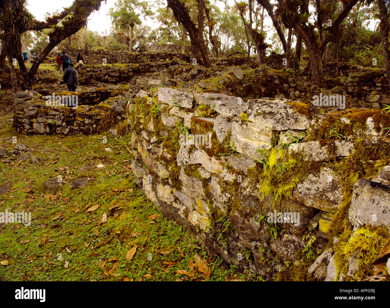 The mysterious super fortress of the Chachapoyan Cloud People Stock ...