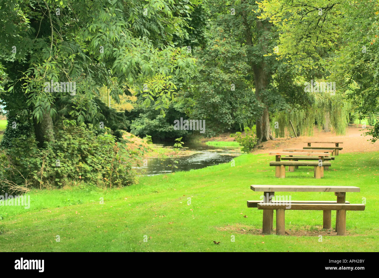 Tree next picnic table hi-res stock photography and images - Alamy