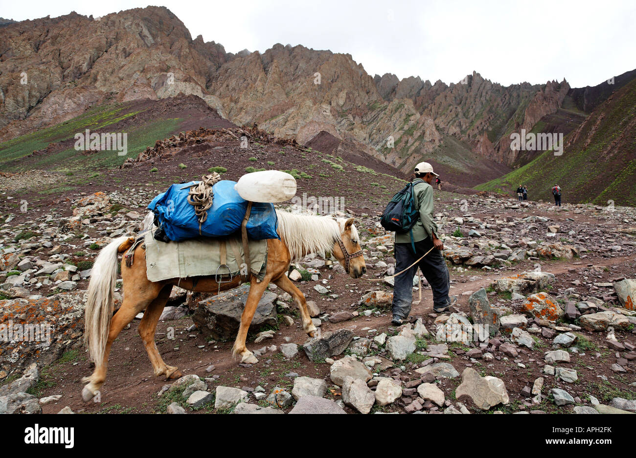 Pack horses carrying loads in Ladakh India Stock Photo - Alamy