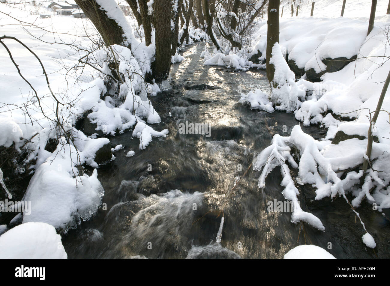 brook flow freeze fresh frost cold cold nature snow flow water winter ...