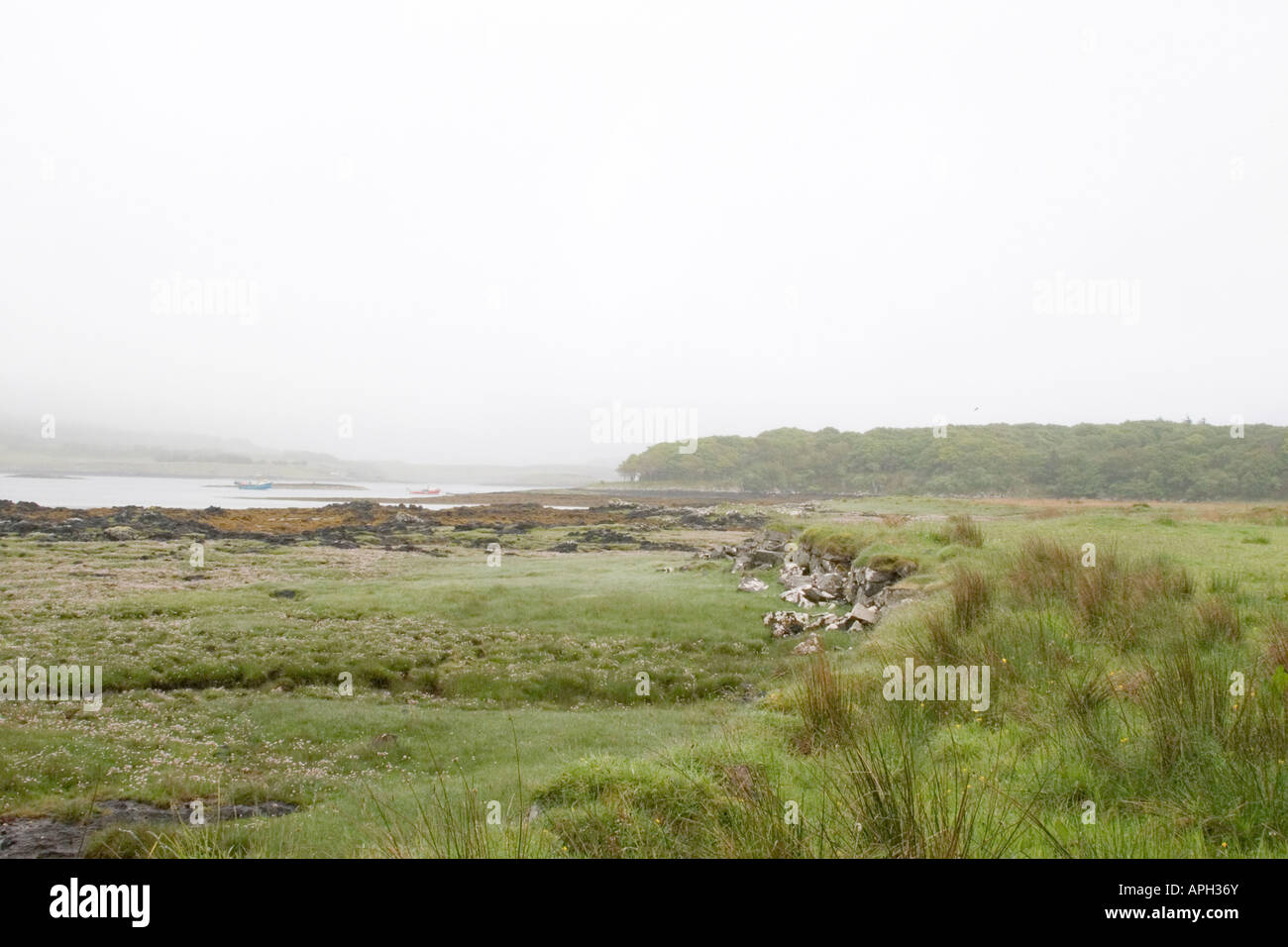 Ulva Isle of Mull Scotland May 2007 Stock Photo - Alamy