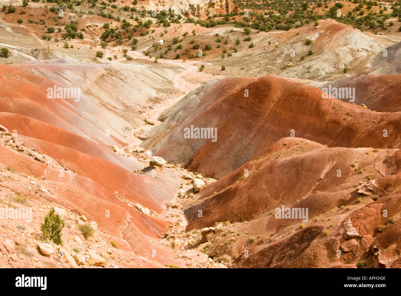 red sandstone formations along the Burr Trail through Grand Staircase ...