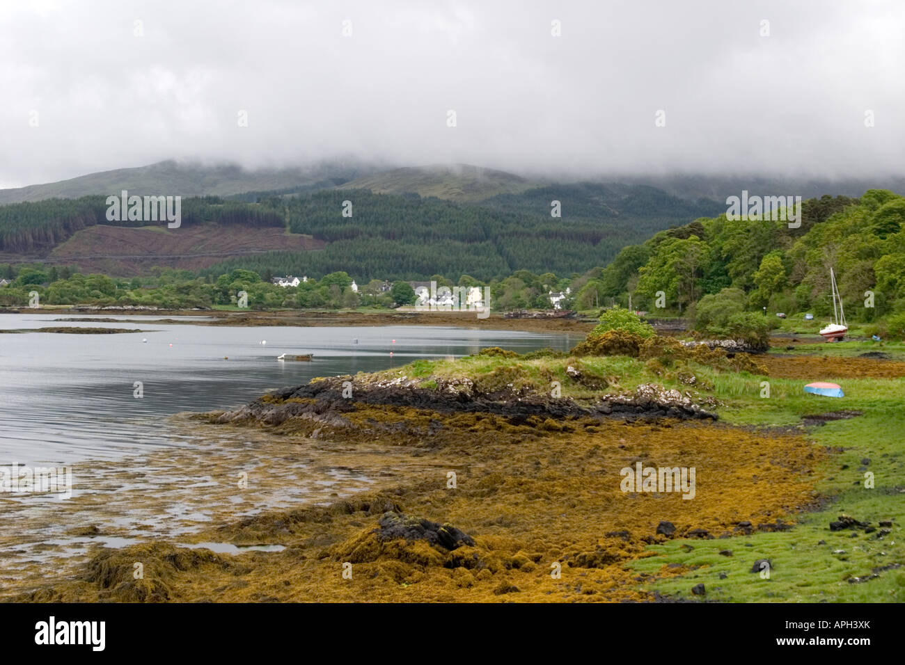 Salen area Isle of Mull Scotland May 2007 Stock Photo - Alamy