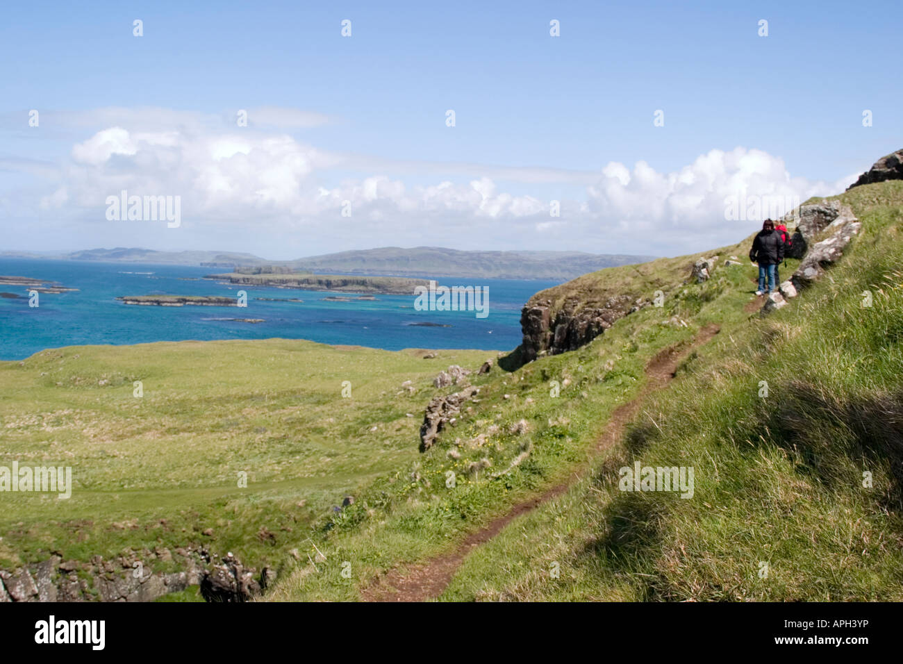 Lunga Treshnish Isles Isle of Mull Scotland May 2007 Stock Photo - Alamy