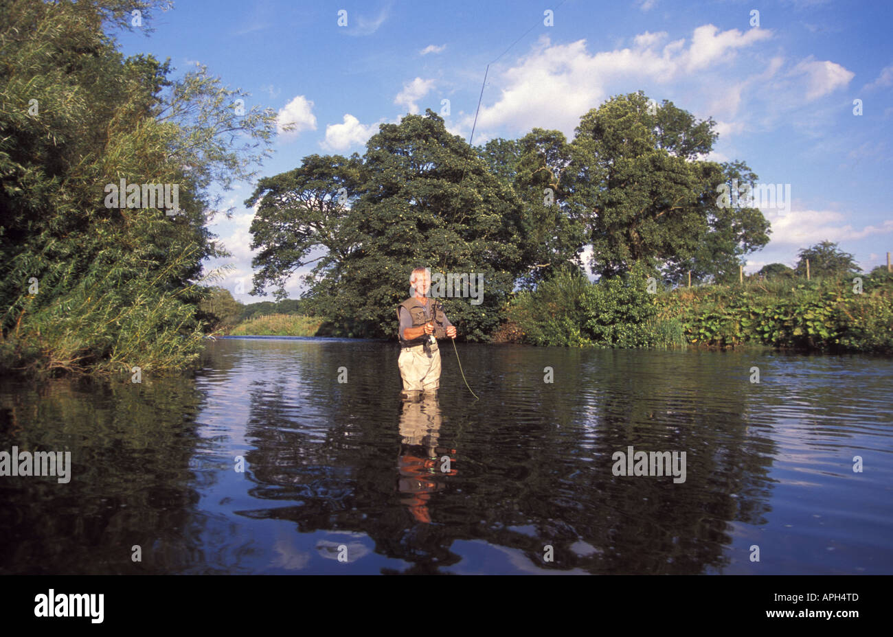River eden fish hi-res stock photography and images - Alamy