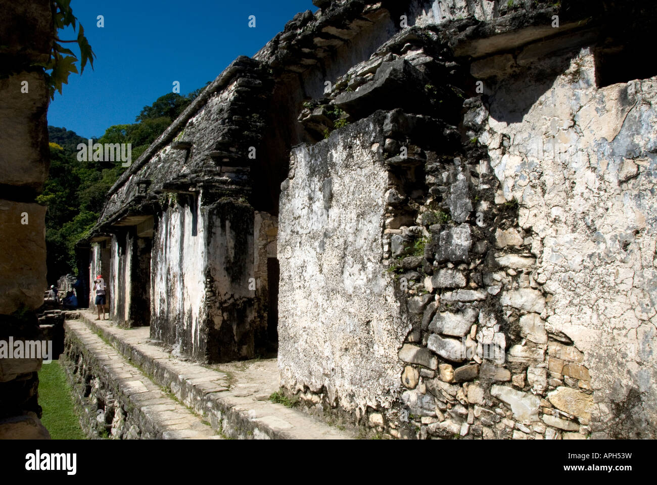 Palenque pyramid hi-res stock photography and images - Alamy