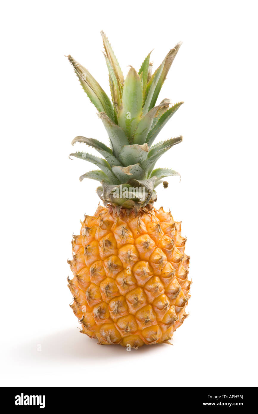 A fresh pineapple on a white background Stock Photo - Alamy