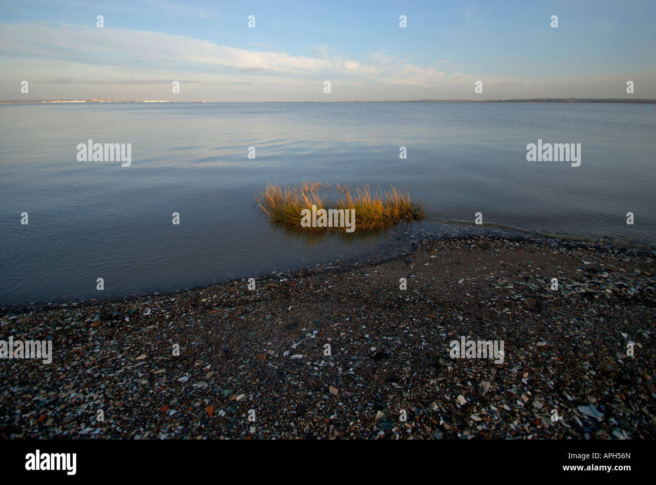River thames estuary hi-res stock photography and images - Alamy
